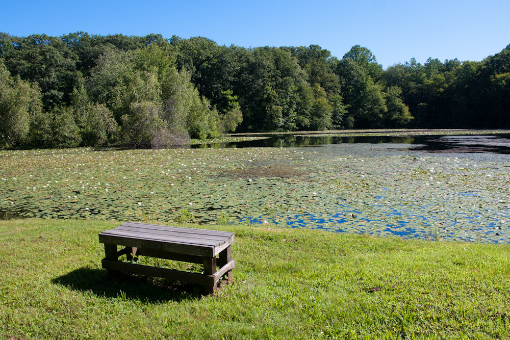 Hidden Pond Park - Southbury, CT